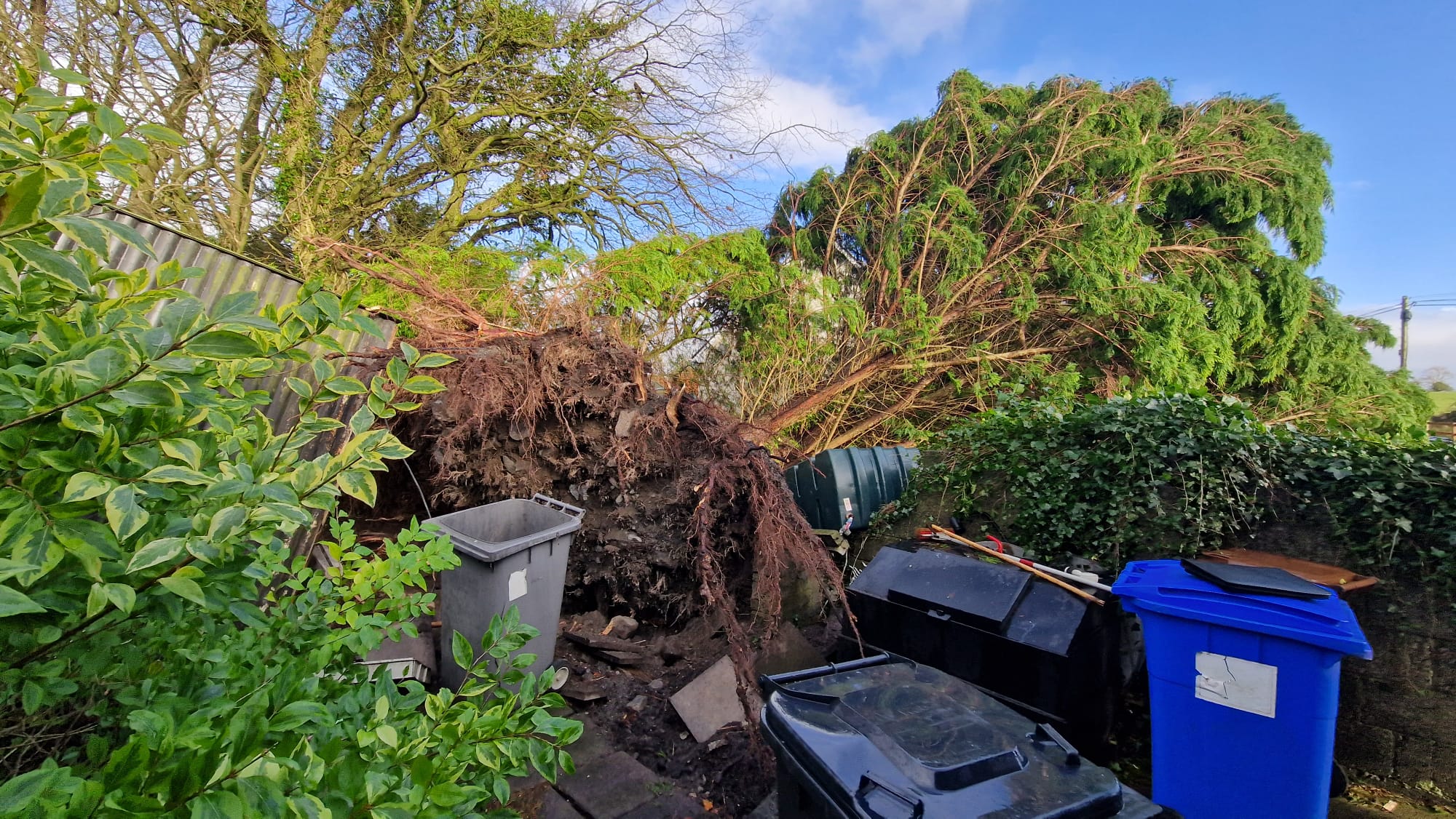 Claims Assessor - Claims Assist Ireland